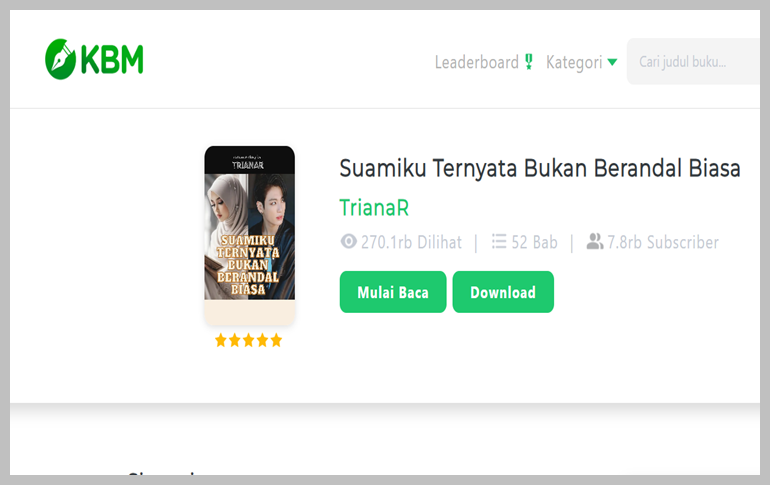 Novel Suamiku Bukan Berandal Biasa KBM App Sinopsis dan Link Baca Resmi - Demaknews.id